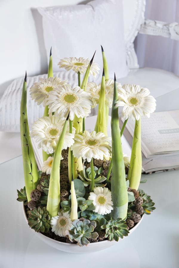 Inspiring creations with gerberas - Holstein Flowers gerbera