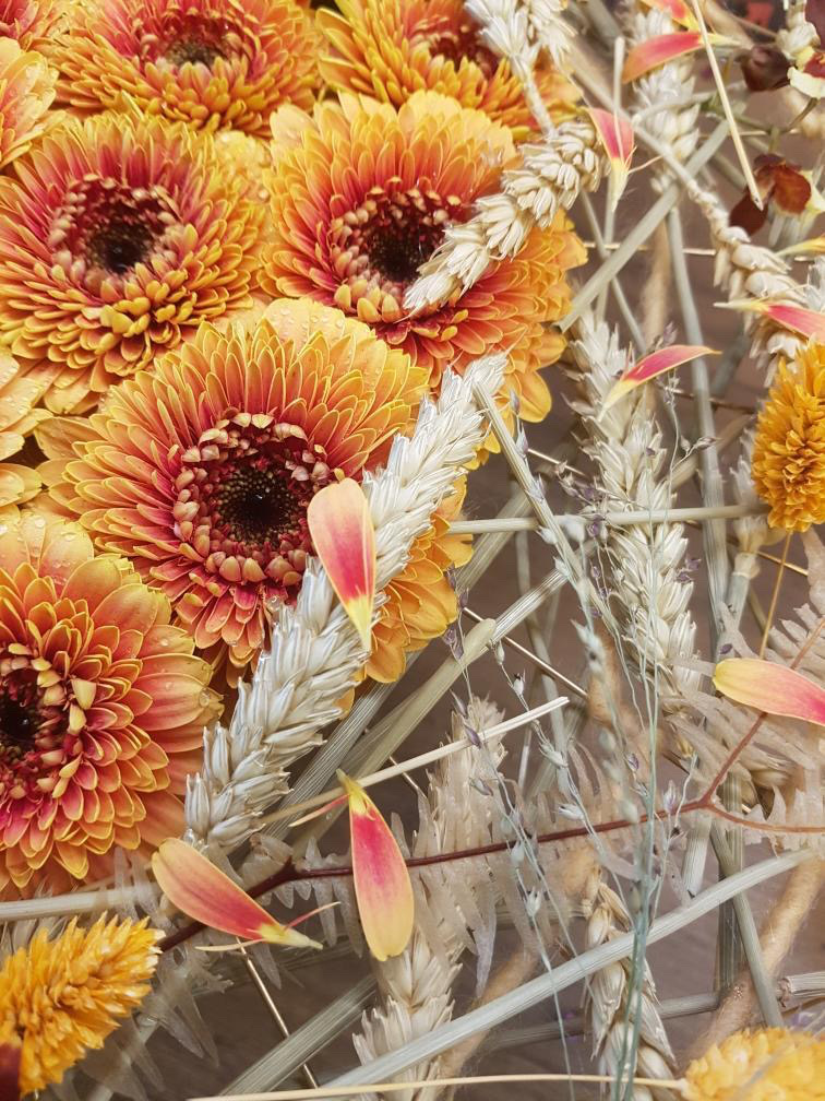 Inspiring creations with gerberas - Holstein Flowers gerbera
