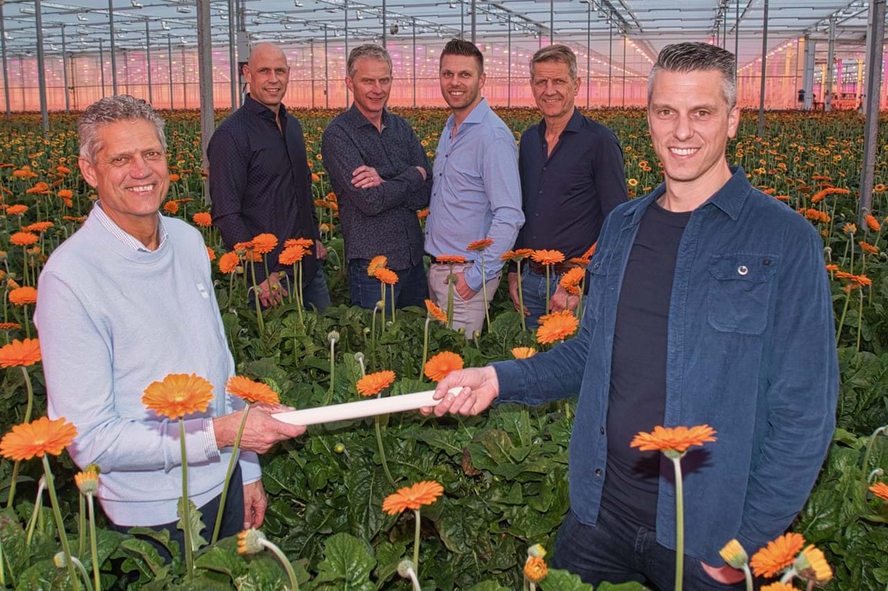Leo van Holstein met pensioen - Holstein Flowers gerbera
